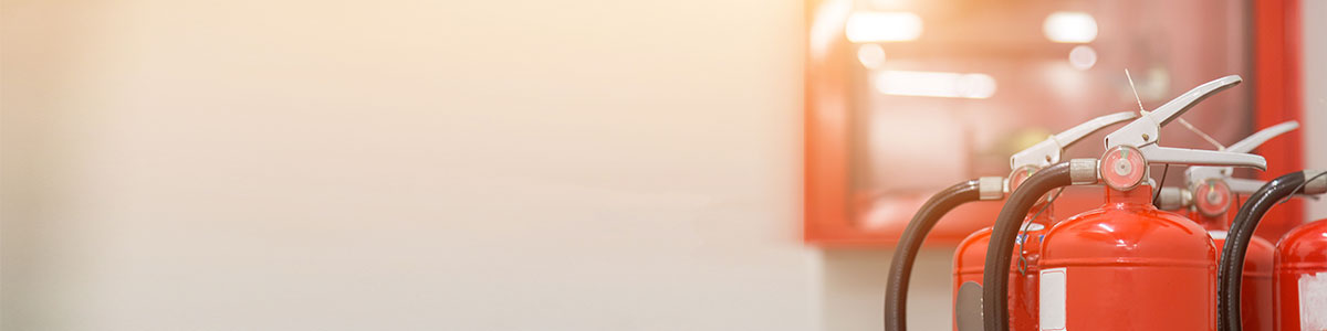 Open Data | Sharjah Prevention and Safety Authority (SPSA) | SPSA